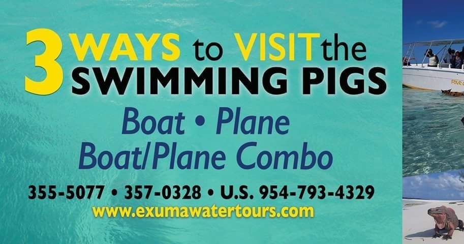 Swimming Pigs Tour Boat & Plane Combo - From Nassau | Exuma Water Tours